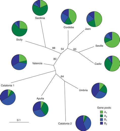 unrooted fitch margoliash tree based on nei s standard genetic