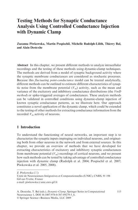 Pdf Testing Methods For Synaptic Conductance Analysis Using Controlled Conductance Injection