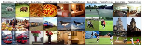 230518274 Reconstructing The Minds Eye Fmri To Image With Contrastive Learning And