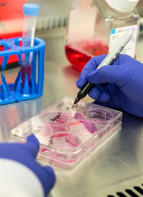 Cell Signaling Research Center University Of New England In Maine