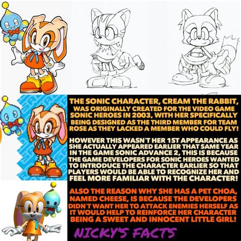 Cream The Rabbits Origins In 2025 Cream Sonic Cartoon Character