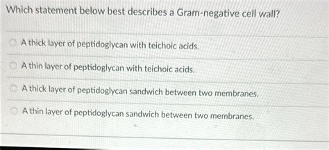 Solved Which statement below best describes a Gram-negative | Chegg.com