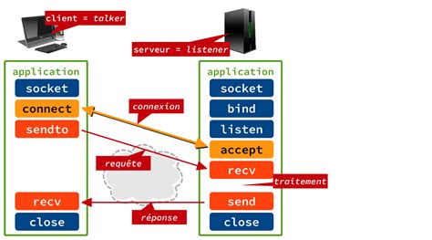 Socket C