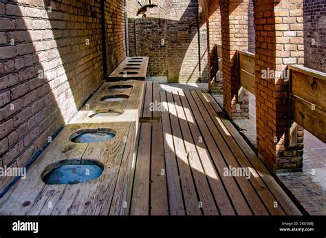 What Mean Bucket Latrine At Joel Kates Blog