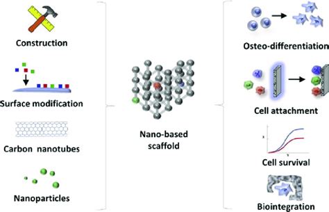 Construction Of Nano Based Scaffold The Material Used For Scaffold Download Scientific Diagram