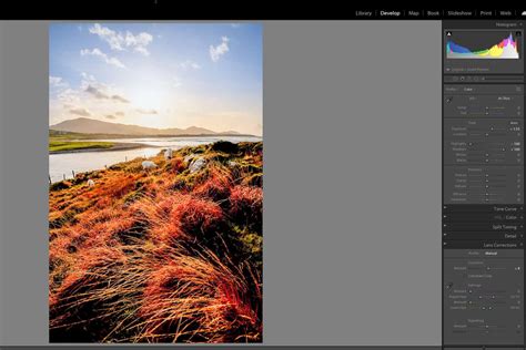 Jpeg Vs Raw Which Is Best Why Ultimate Photography Tips