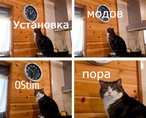 Установка Ostim Ng Ostim Ng Installation Guide Туториалы Туториалы Ресурсы для моддеров