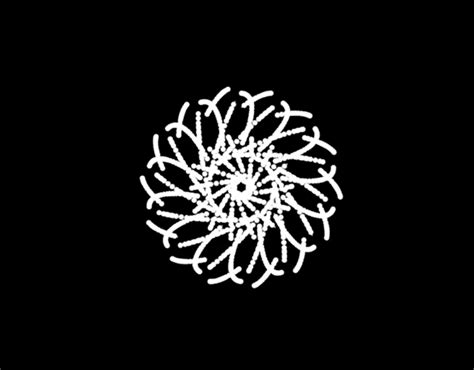 Tweet Coding Challenge On Behance