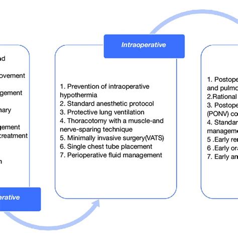 Care Elements Implemented In The Eras Program For Lung Cancer Surgery Download Scientific