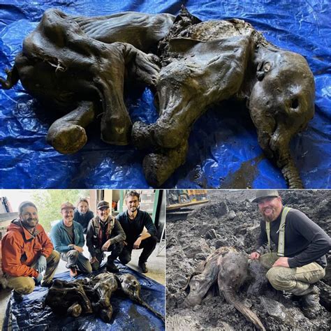 Arqueología Misteriosa 𝐒𝐡𝐨𝐜𝐤𝐢𝐧𝐠 𝐟𝐢𝐧𝐝 𝐓𝐡𝐞𝐲 𝐝𝐢𝐬𝐜𝐨𝐯𝐞𝐫 𝐚 𝐬𝐚𝐝 𝐭𝐫𝐮𝐭𝐡 𝐢𝐧