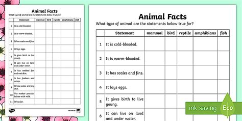 Editable Animal Facts Classification Activity Twinkl