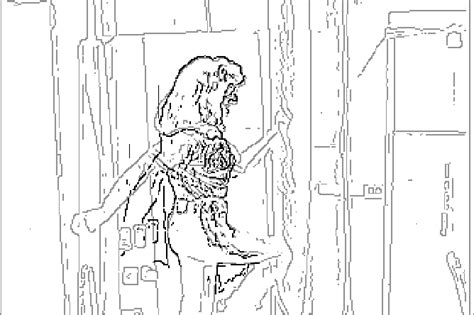 Hausdorff Dimension Semantic Scholar