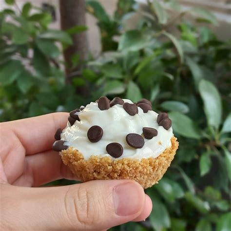 Cream Filled Cheesecake Biscuit Base Cookie Cakes Party Desserts