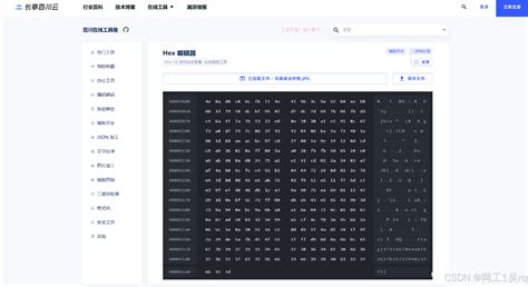 Ctf 练习场ctf 二进制文件里找flag Csdn博客