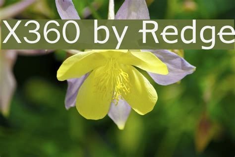X360 By Redge Font