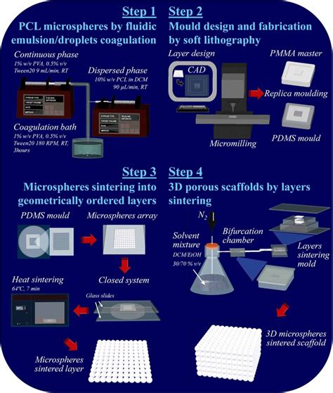 Different Steps Used For The Fabrication Of The Scaffolds Step 1 Download Scientific Diagram