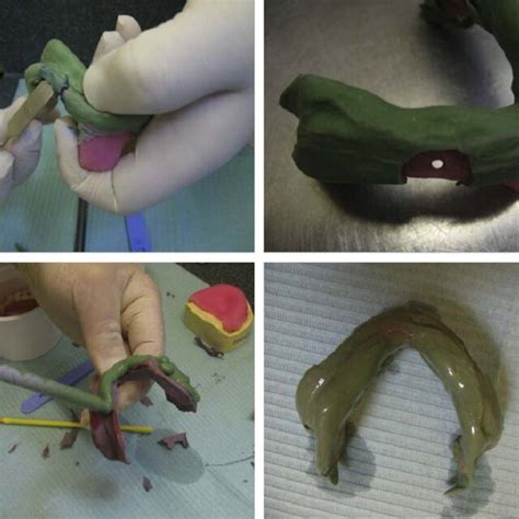 A Selective Pressure Impression In Preparation Top Left The Download Scientific Diagram