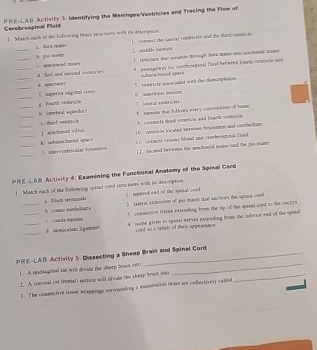 solved pre lab activity 3 identifying the