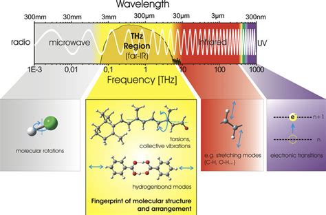 terahertz technologies explained