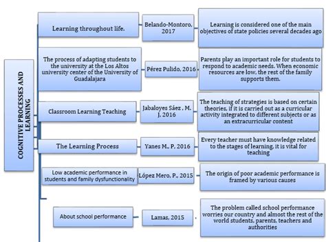 Schematic Representation Cognitive Processes Download Scientific Diagram