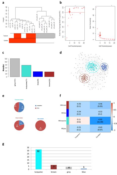 Weighted Gene Co Expression Network Analysis WGCNA A Clustering