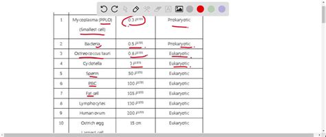 solved cell types prokaryotes vs eukaryotes construct a table of