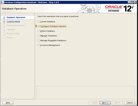 Manually Create A Container Database CDB With Selected Options Make