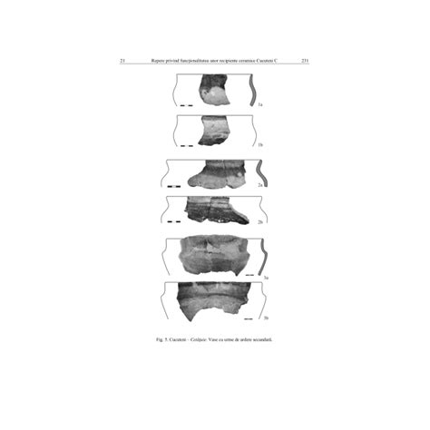 Roxana Munteanu Researcher Phd Archaeology