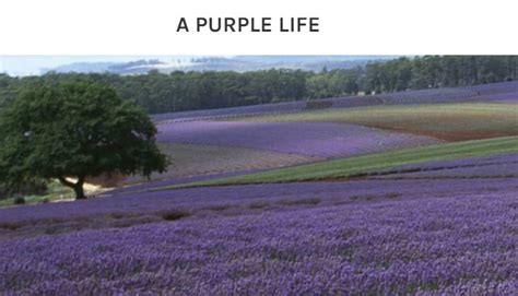 Top 10 Fire Blogs Worldwide Captain Fi