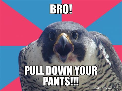 Bro Pull Down Your Pants Millennial Falcon Meme Generator