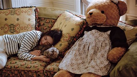 刘亦菲 猫 毛绒玩具 美女桌面壁纸高清美女壁纸彼岸桌面