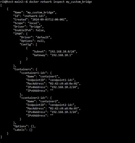Customizing And Extending Docker Networks Geeksforgeeks