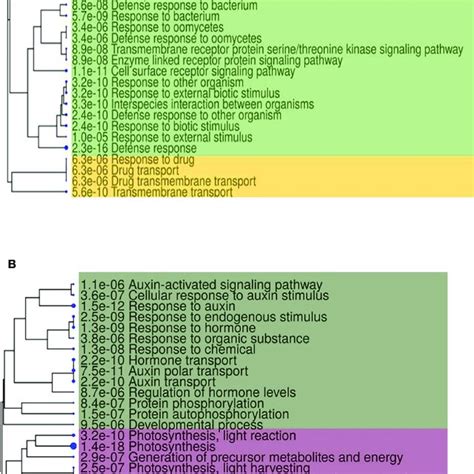 a hierarchical clustering tree summarizing the correlation among the