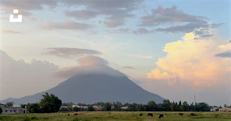 A Grassy Field With A Mountain In The Background Photo Free Tp Tây