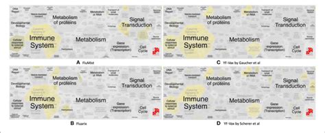 Reactome Pathway Enrichment Analysis Highlighting Significant