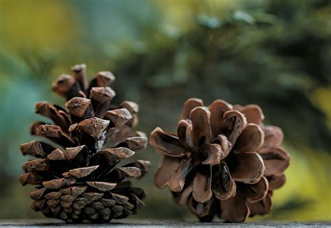 exploring vector databases and content retrieval with pinecone by