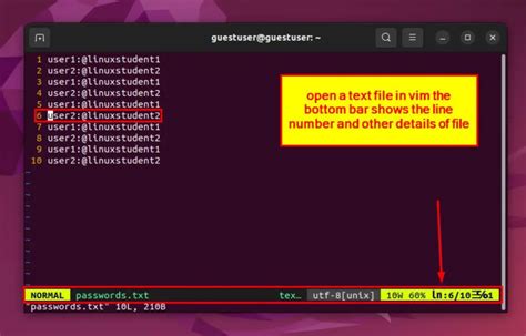 3 Easy Ways To Show Line Number In Vim