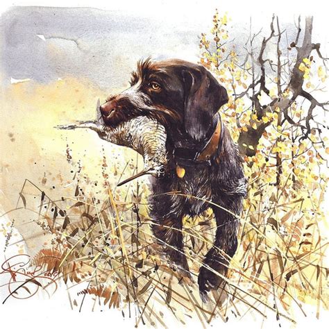 Wirehaired Pointer Etsy