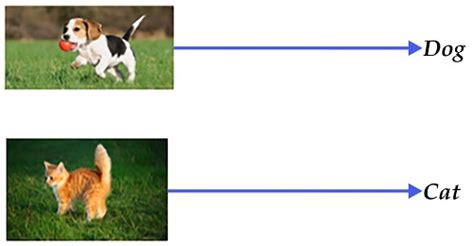 machine learning gradient descent codeproject