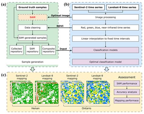 The Overview Of The Whole Workflow Of This Study A Sample Generation Download Scientific