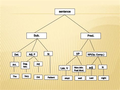 Lecture 2 Sentence Structure Constituents