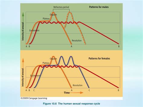 Ch Motivation And Emotion Ppt Download