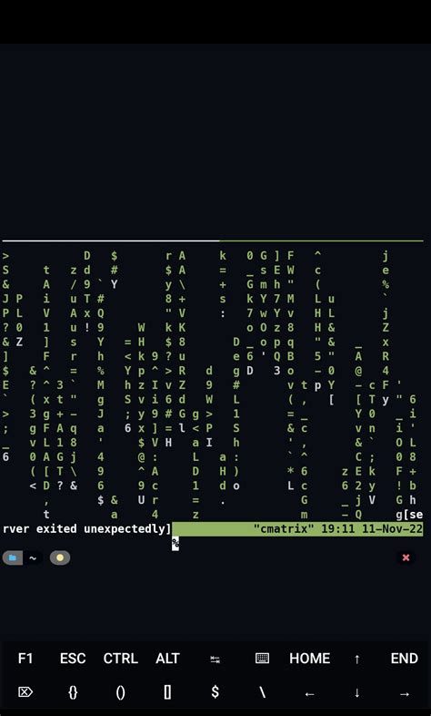 Tmux Server Error R Termux