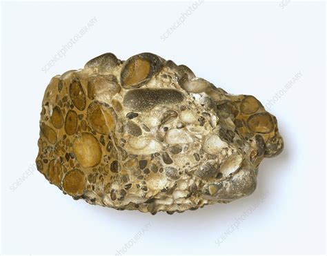 Puddingstone Stock Image C0136650 Science Photo Library