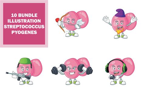 Streptococcus Pyogenes Bundle Graphic By Kongvector2020 · Creative Fabrica