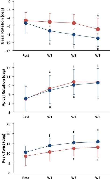 Kinetics Of Basal Top And Apical Middle Rotation And
