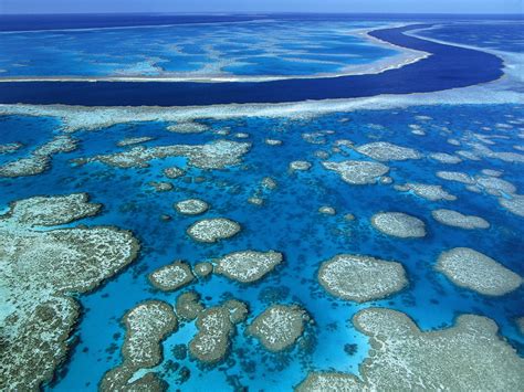 Places To Go In The Whitsundays Beaches Islands And Reefs