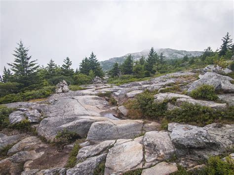 Hike Mount Monadnock In Monadnock State Park Stav Is Lost