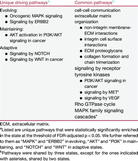 Unique And Common Reactome Cancer Pathways Enriched In The Evolutionary