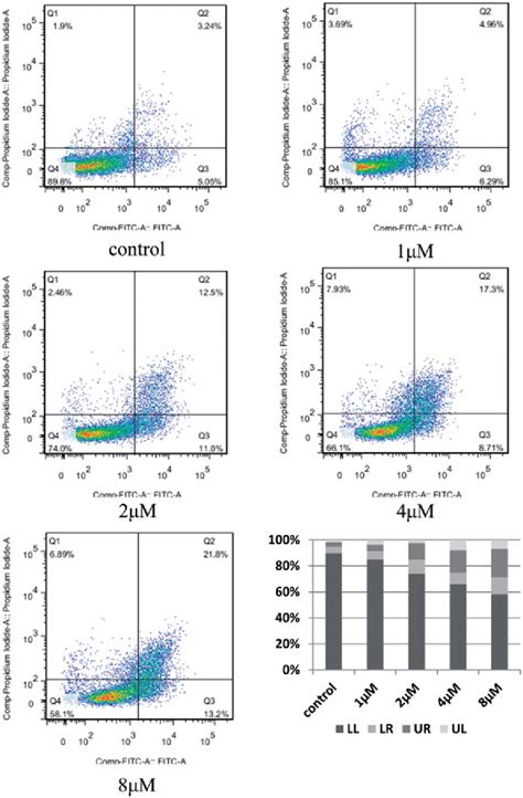 Flow Cytometry Analyses Of Apoptosis Induction In Triple Negative